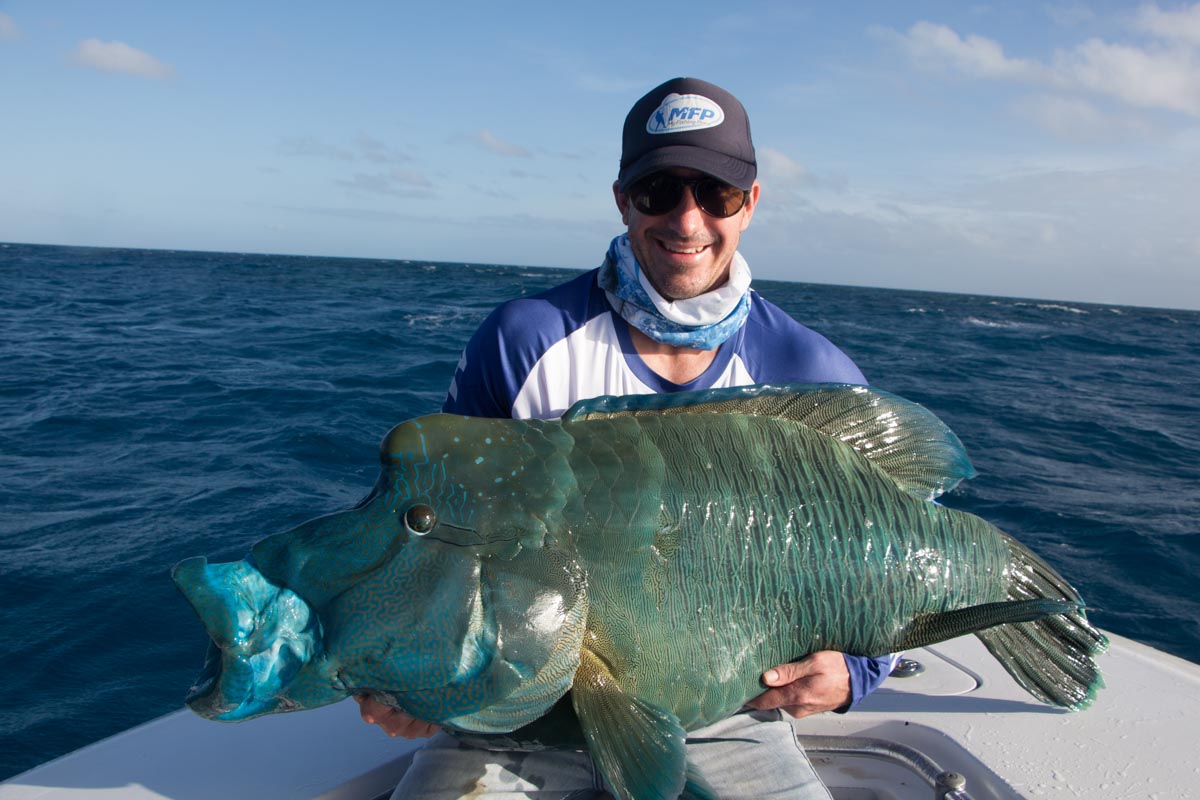 WRASSE, HUMPHEAD MAORI – My Fishing Place