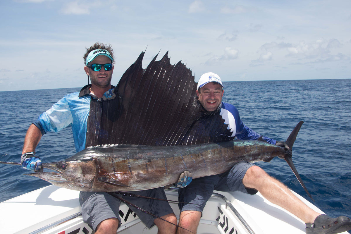 SAILFISH – My Fishing Place