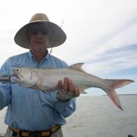 THREADFIN, BLUE – My Fishing Place